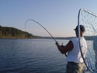Fishing – Norfork Lake Tourism